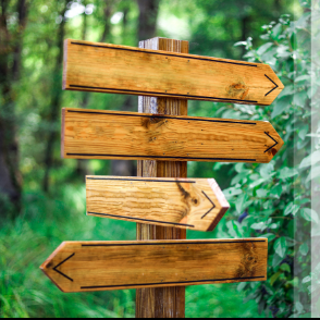 Common Approach Guiding Principles • Common Approach